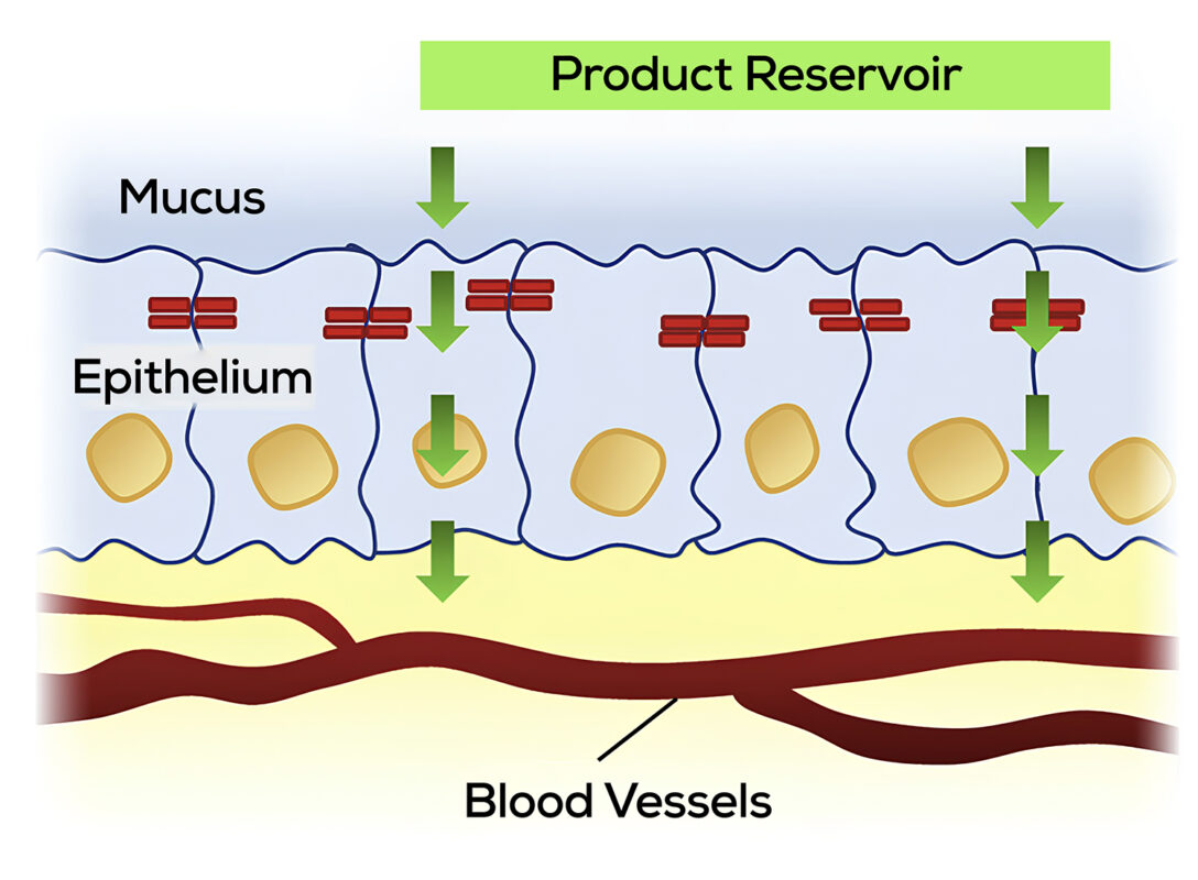 Oromucosal Delivery System - Zoeuticals