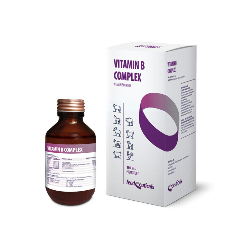 VITAMIN B COMPLEX Solution - Zoeuticals